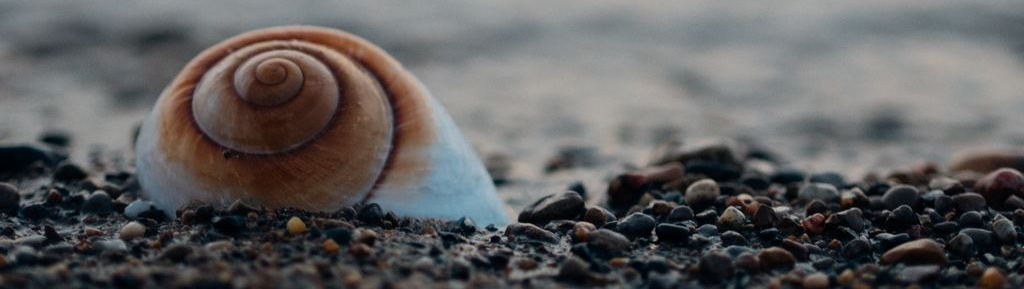 [Dicas-L] Software Livre e GNU/Linux